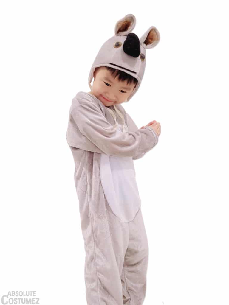Koala costume • Costume Shop Singapore