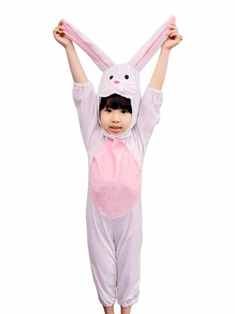 Funny Bunny • Costume Shop Singapore