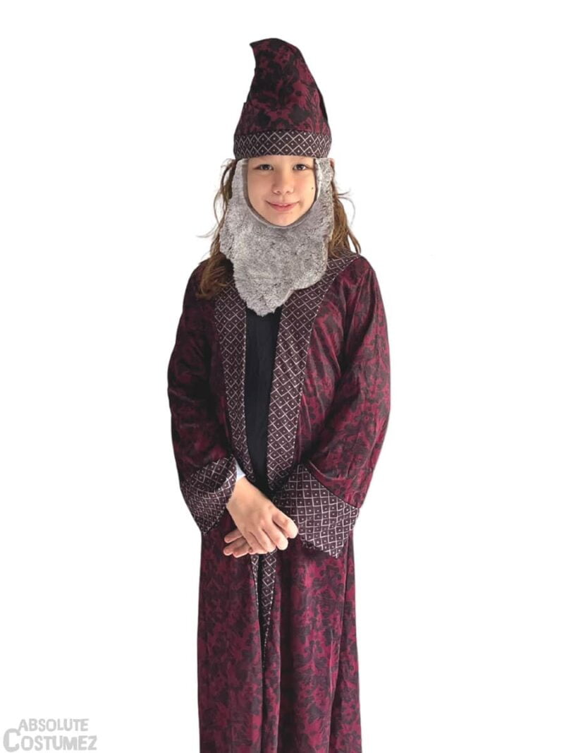 Dumbledore costume • Costume Shop Singapore