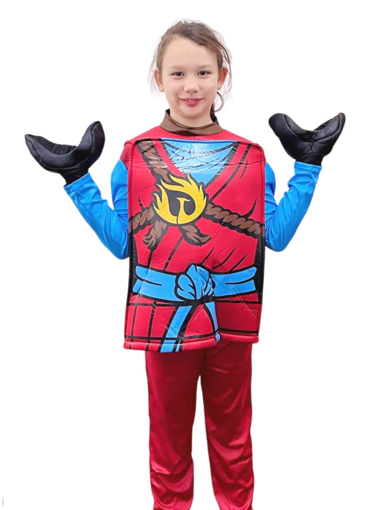 Lego Ninjago • Costume Shop Singapore