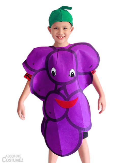 Grapes kid Costume • Costume Shop Singapore