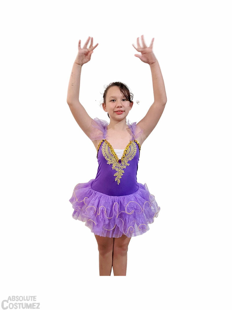 Purple Ballerina • Costume Shop Singapore