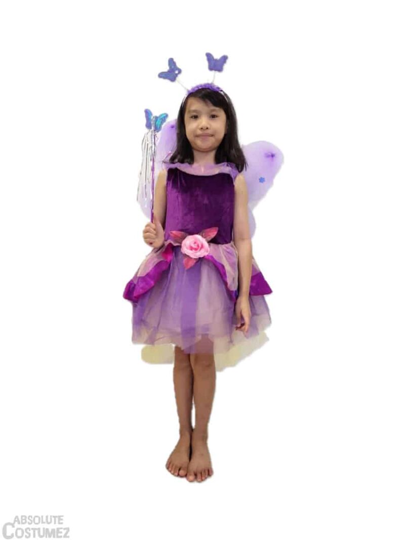 Butterfly Fairy • Costume Shop Singapore