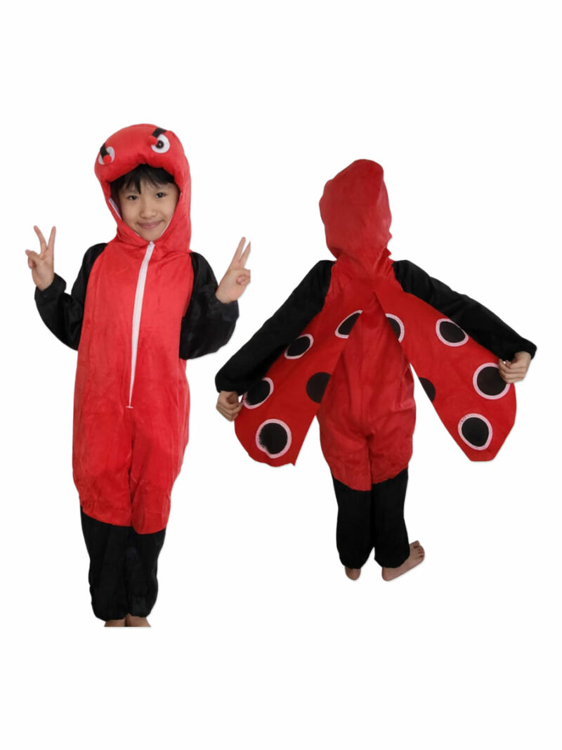 Lady Bug Suit • Costume Shop Singapore