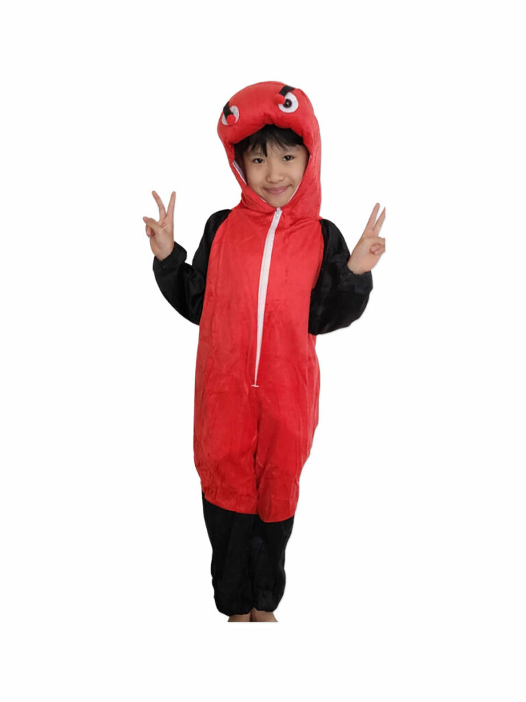 Lady Bug Suit • Costume Shop Singapore