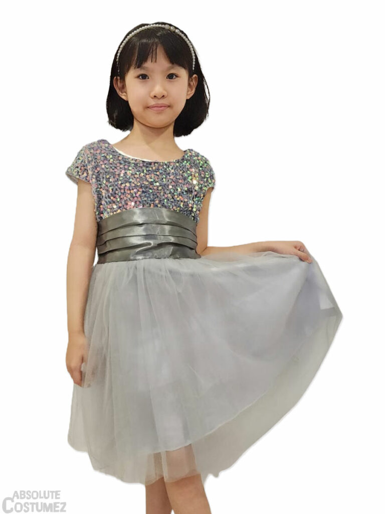 Grey Sparkle Dress • Costume Shop Singapore