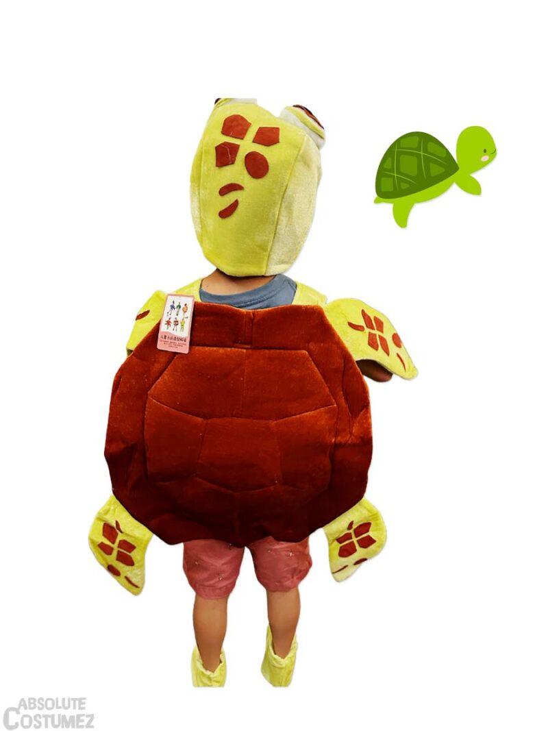 Green Turtle • Costume Shop Singapore